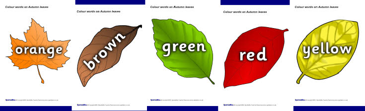 Autumn Leaf Colours SB2686 SparkleBox Autumn Leaf Colours SB2686 SparkleBox