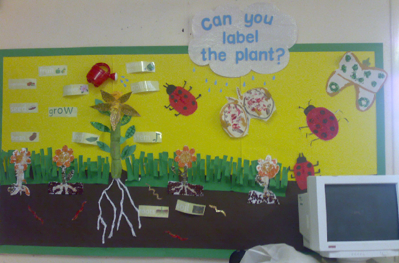 Plants classroom display photo - Photo gallery - SparkleBox