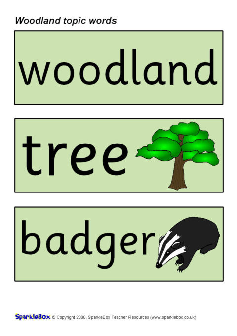 Woodland Topic Word Cards (SB1556) - SparkleBox