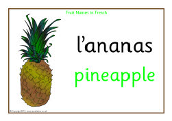 Fruit in French posters (SB1071) - SparkleBox