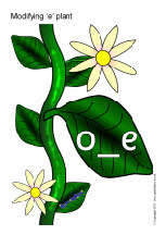 Modifying 'e' plant (SB1143) - SparkleBox