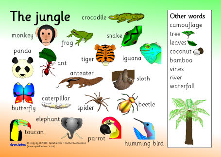 Jungle word mat (SB1404) - SparkleBox