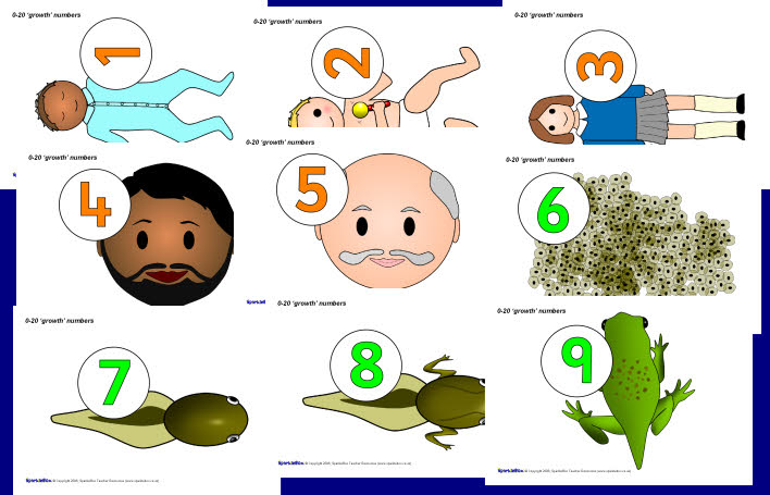 Growth numbers 1-20 (SB1441) - SparkleBox