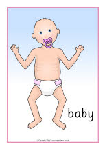 Human growth posters (SB1442) - SparkleBox