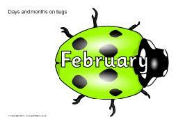 Days and months on bugs (SB1558) - SparkleBox