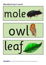 Woodland topic word cards (SB1556) - SparkleBox
