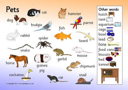 Pets word mat (SB2089) - SparkleBox