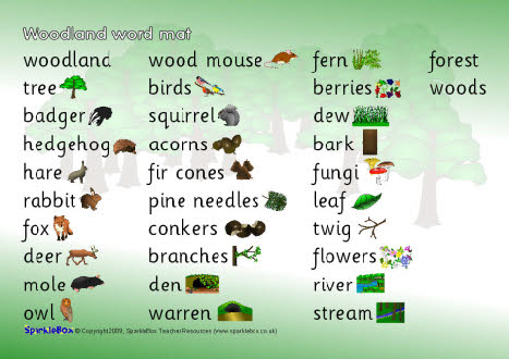 Woodland word mat (SB2184) - SparkleBox