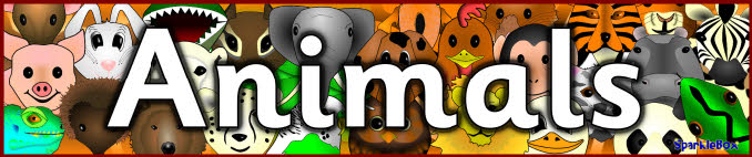 Animals display banner (SB2304) - SparkleBox