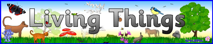 Living Things display banner (SB2312) - SparkleBox