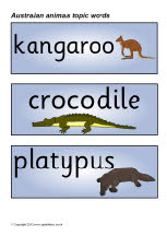 Australian animals topic word cards (SB2331) - SparkleBox