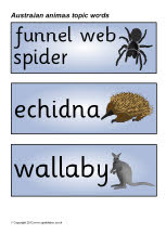 Australian animals topic word cards (SB2331) - SparkleBox