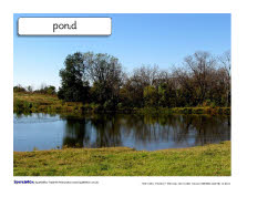 Pond life photo set (SB2365) - SparkleBox