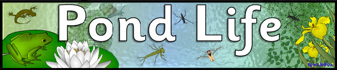 Pond Life display banner (SB2416) - SparkleBox