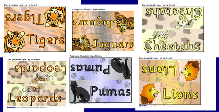 Big cat-themed group table signs (SB2524) - SparkleBox