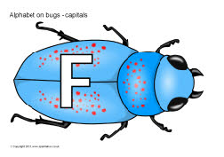 Alphabet on bugs - capitals (SB2571) - SparkleBox