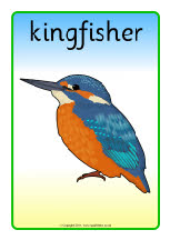 Bird posters (SB2895) - SparkleBox