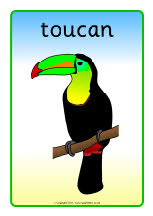 Bird posters (SB2895) - SparkleBox