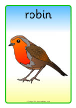 Bird posters (SB2895) - SparkleBox