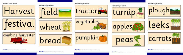 Harvest topic word cards (SB2907) - SparkleBox