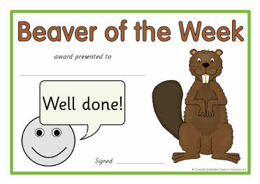 Beaver award certificates (SB2946) - SparkleBox