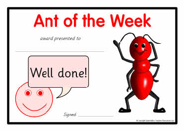 Ant award certificates (SB3007) - SparkleBox