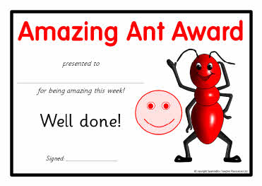 Ant award certificates (SB3007) - SparkleBox