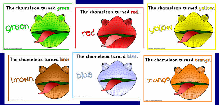 Chameleon colour posters (SB3021) - SparkleBox