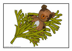 Katie Morag and the Tiresome Ted visual aids (SB3034) - SparkleBox