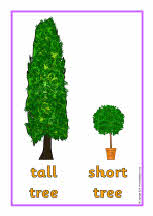 Tall and short posters (SB3101) - SparkleBox
