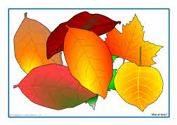 ‘One or lots?’ visual aids (SB3199) - SparkleBox