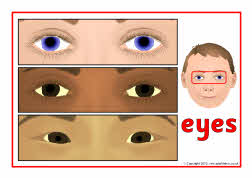 My face posters (SB3229) - SparkleBox