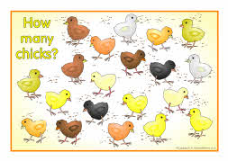 Counting chicks posters (SB3571) - SparkleBox