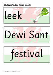 St David’s Day topic word cards (SB3708) - SparkleBox