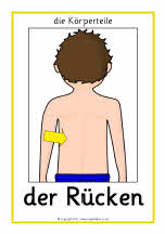 German parts of the body posters (SB3797) - SparkleBox