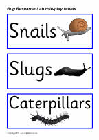 Bug Research Lab role-play pack (SB3816) - SparkleBox