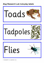 Bug Research Lab role-play pack (SB3816) - SparkleBox
