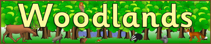 Woodlands display banner (SB3868) - SparkleBox