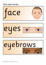My face topic word cards (SB3901) - SparkleBox