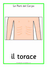 Italian parts of the body posters (SB3942) - SparkleBox