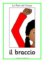 Italian parts of the body posters (SB3942) - SparkleBox