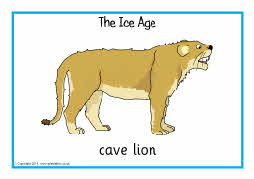 Ice age animal posters (SB4014) - SparkleBox