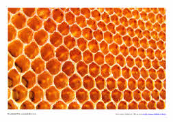 2D shapes in our environment photo set (SB4035) - SparkleBox