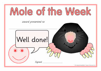 Mole award certificates (SB4129) - SparkleBox