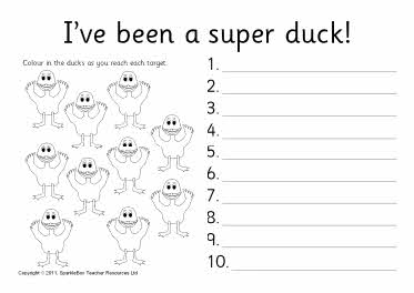 Duck targets (SB4292) - SparkleBox