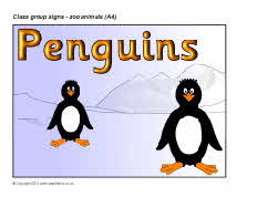 Zoo animals group signs - A4 (SB4362) - SparkleBox