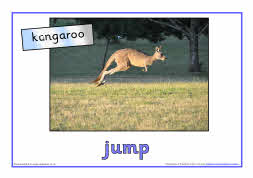 Animal movement posters (SB4431) - SparkleBox