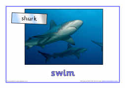 Animal movement posters (SB4431) - SparkleBox