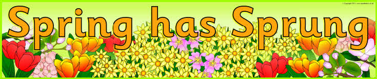 Spring has Sprung display banner (SB4489) - SparkleBox