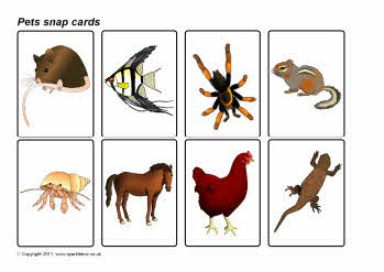 Pets snap cards (SB4583) - SparkleBox